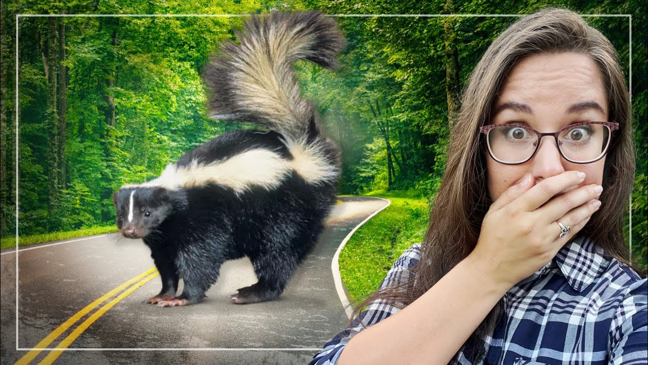 The Skunk that Died! - Rise on Fire Ministries