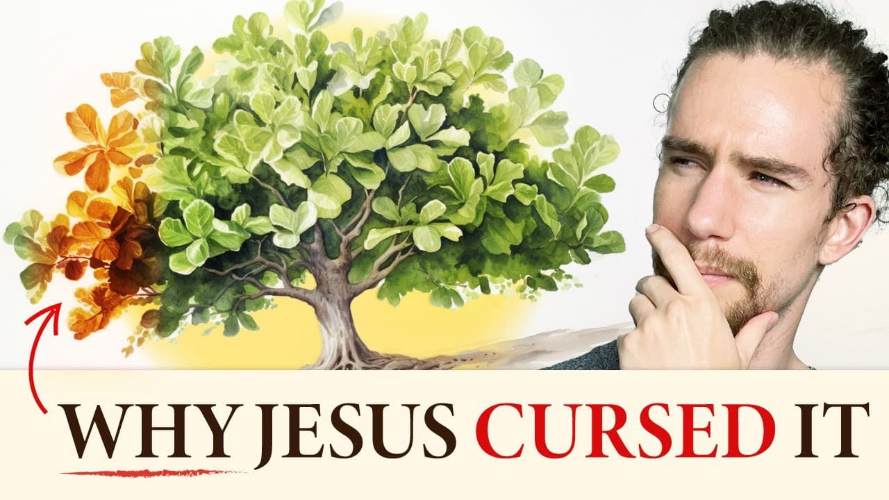 Bear fruit in every season! - The Parable of the Fig Tree - Rise on ...